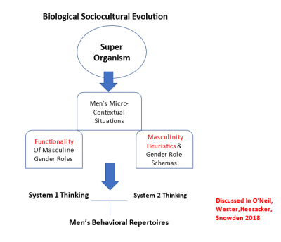 Gender Role Conflict Theory, Models, and Contexts | Dr. Jim O'Neil
